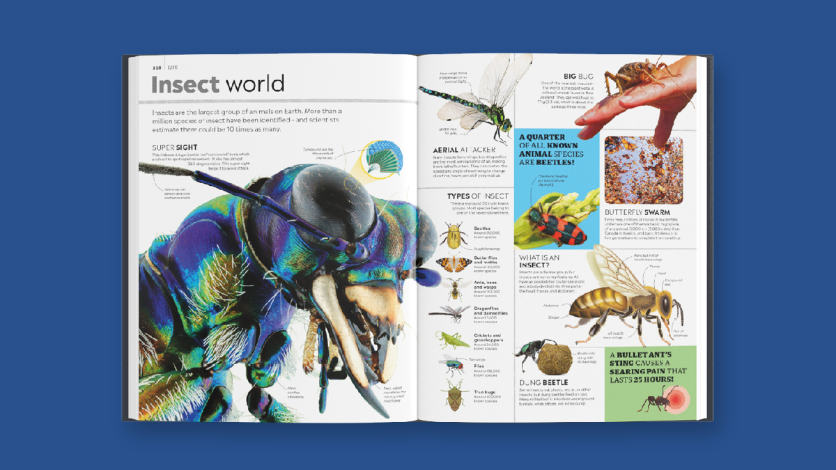 Behind the Scenes with DK Eyewitness: 35 Years and One Brand New ...